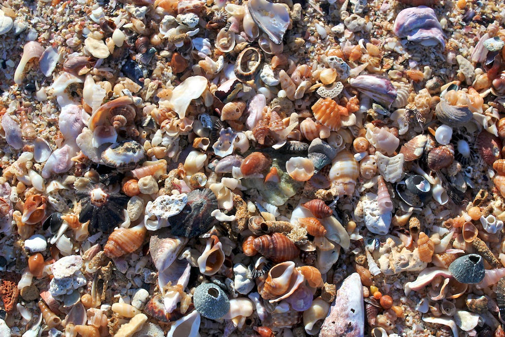 Cannon Rocks, Eastern Cape, South Africa. Seaside village