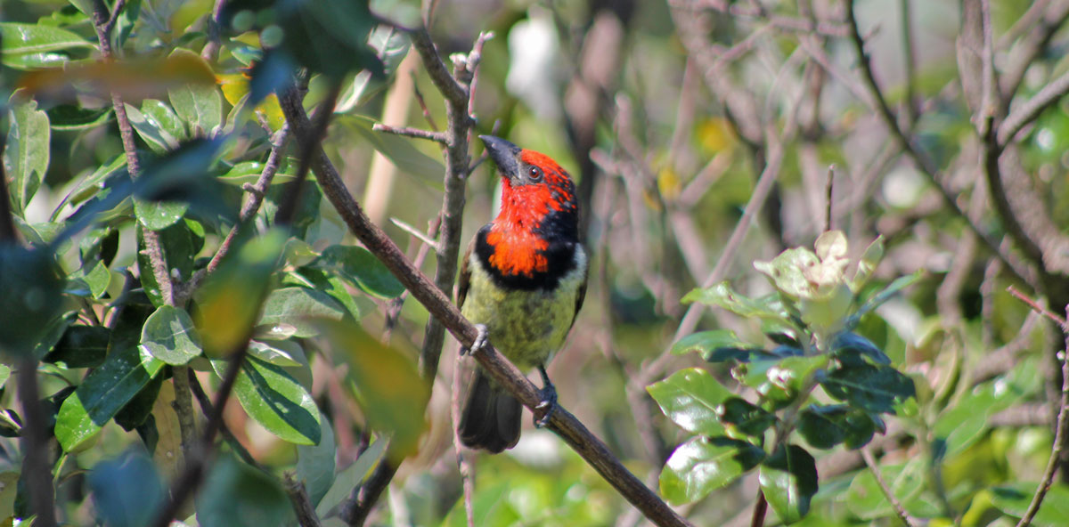 Cannon Rocks, Eastern Cape, South Africa. Seaside village